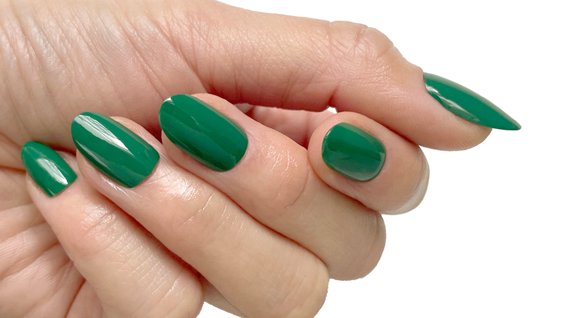 MONSTERA – HELLO TOMATO