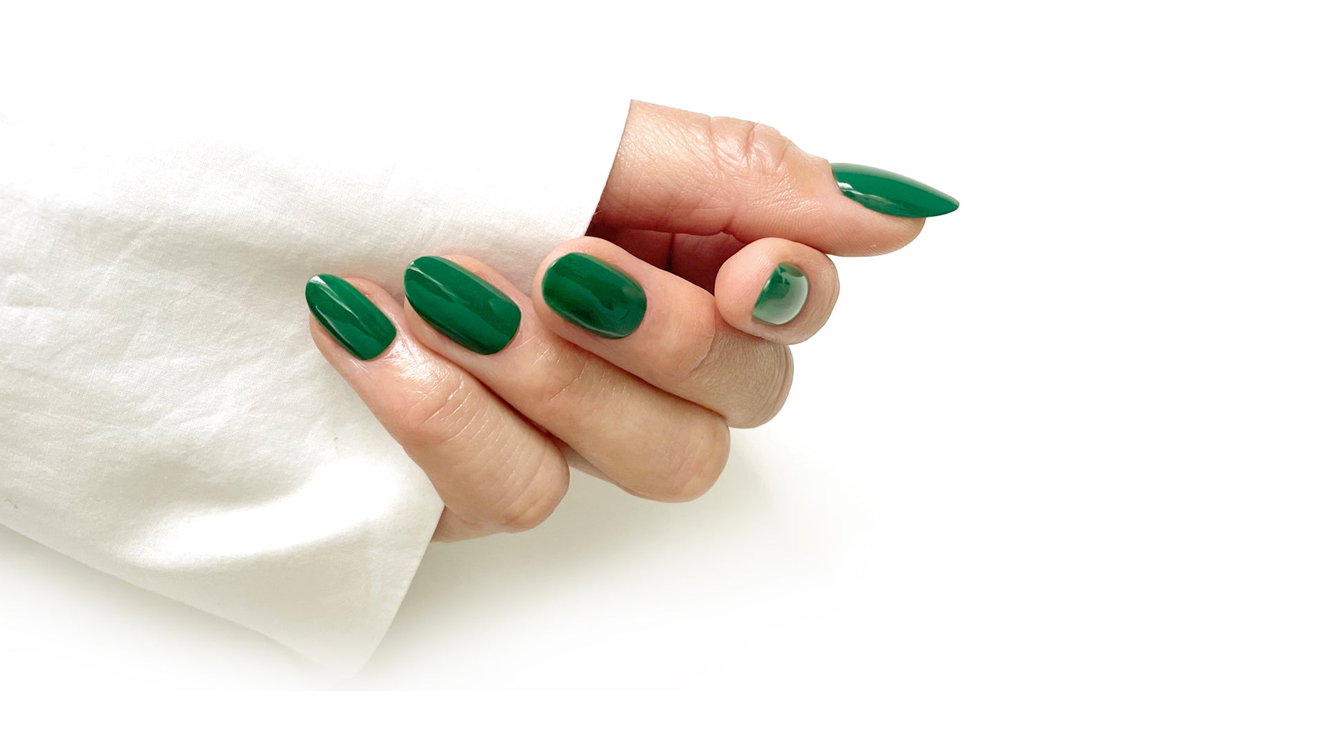 MONSTERA – HELLO TOMATO