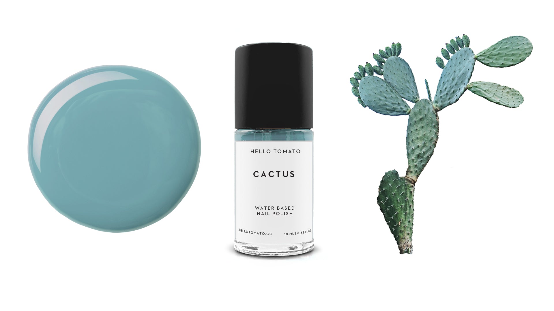 CACTUS – Hello Tomato