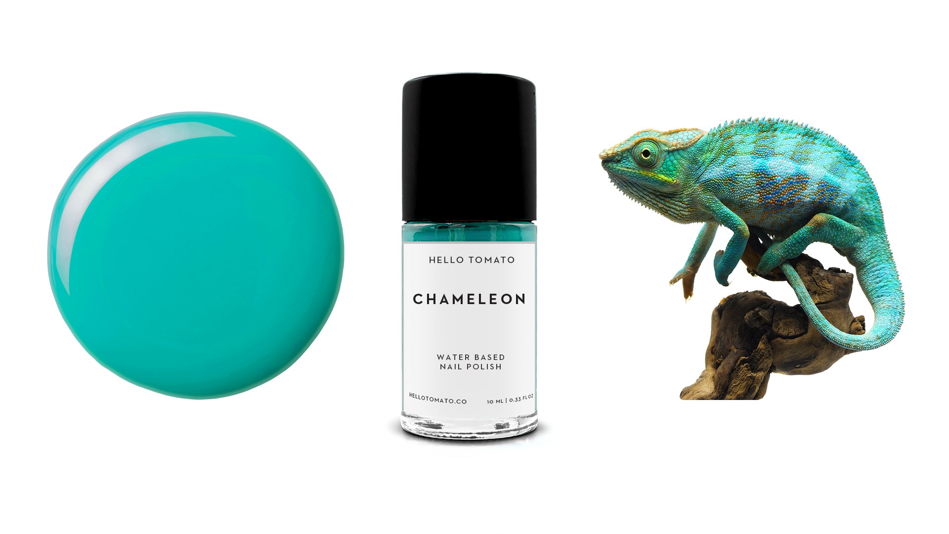 CHAMELEON – HELLO TOMATO