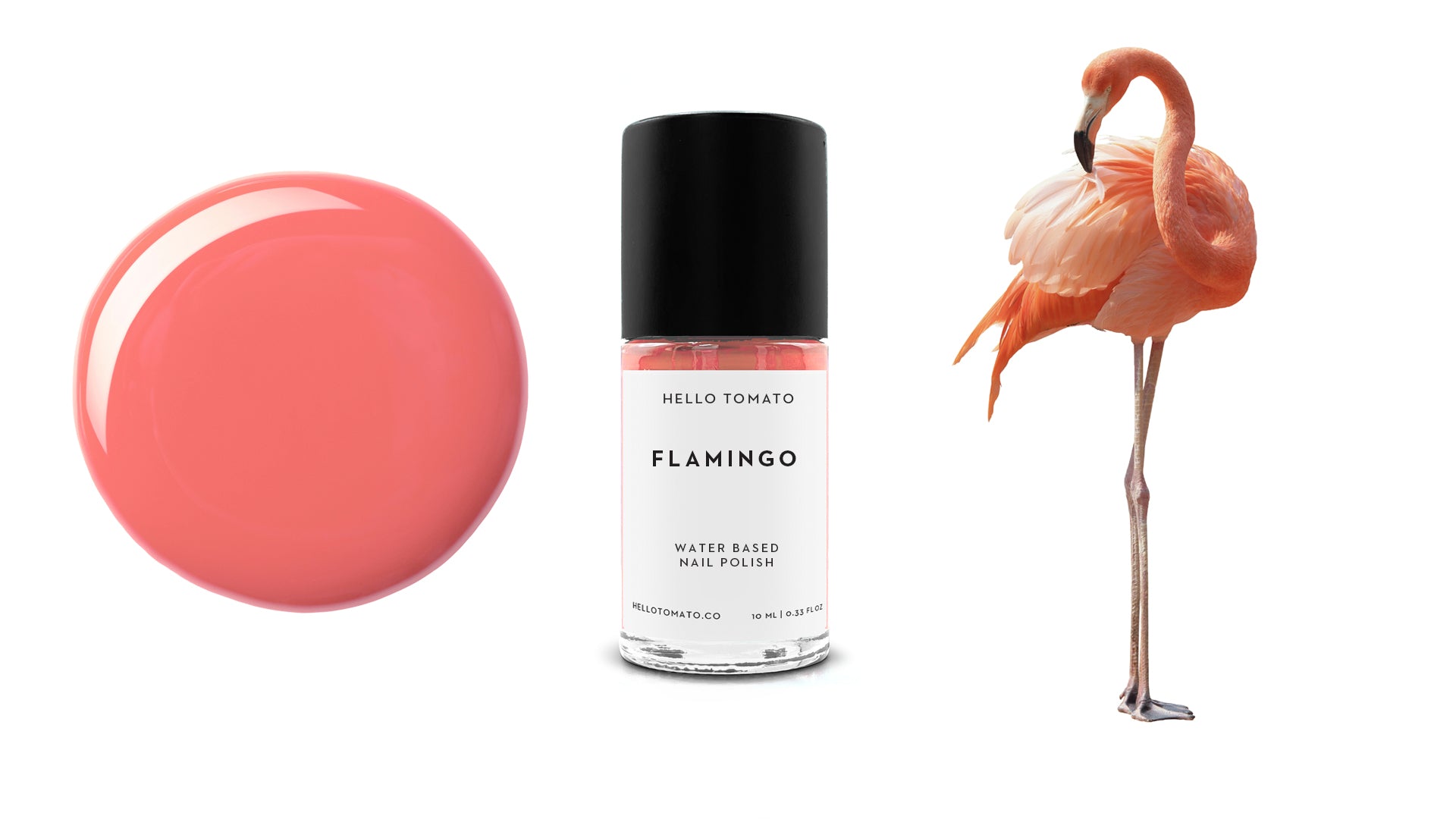 FLAMINGO – HELLO TOMATO