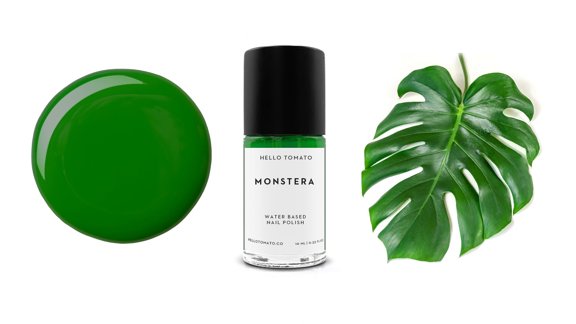 MONSTERA – HELLO TOMATO